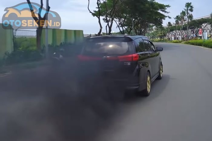 Kenapa Disebut Cumi-cumi Darat? Efeknya Pada Mesin Diesel